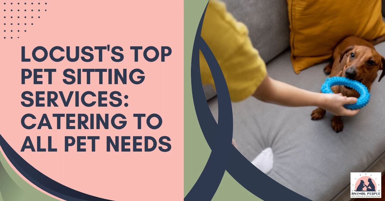 Locust's Top Pet Sitting Services: Catering to All Pet Needs